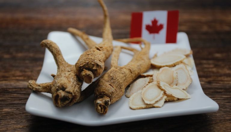 Home - Ontario Ginseng Growers Association