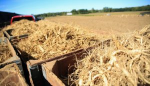 Home - Ontario Ginseng Growers Association