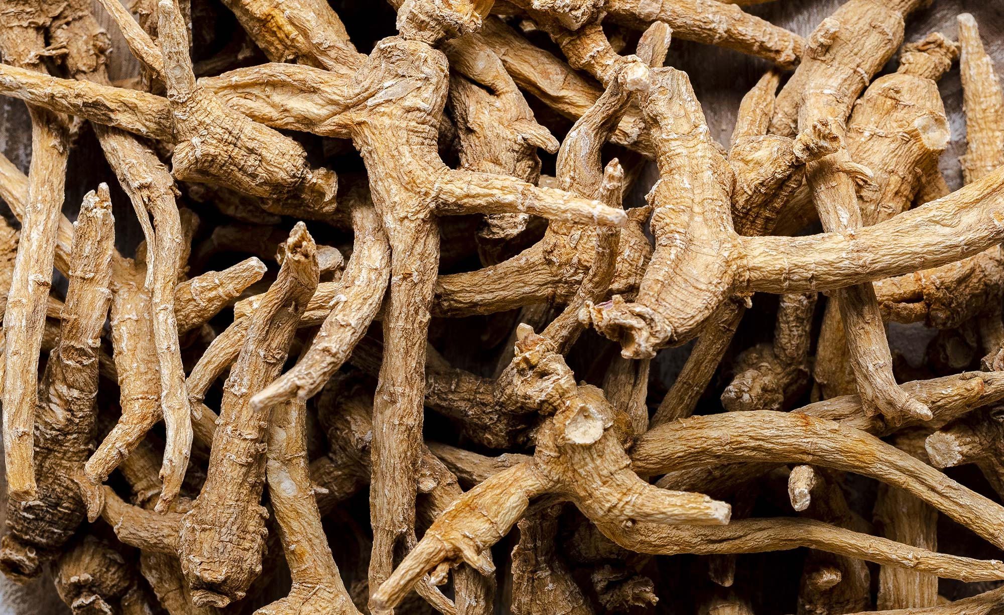Know Your Ginseng: Species of Ginseng - Ontario Ginseng Growers Association